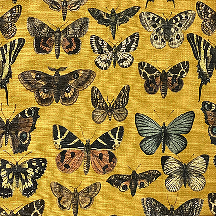 Mariah Marigold - Rene Cazares